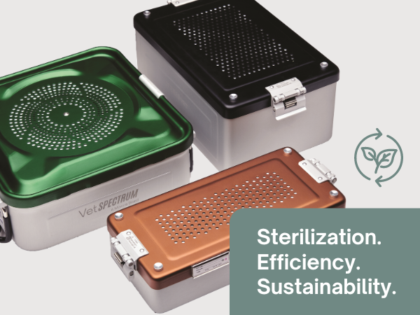 Movora Education - Upcoming Opportunities